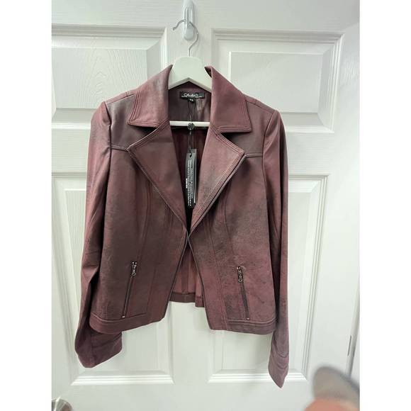 CHARLIE B | Jackets & Coats | New Charlie B Faux Suede Moto Jacket In ...